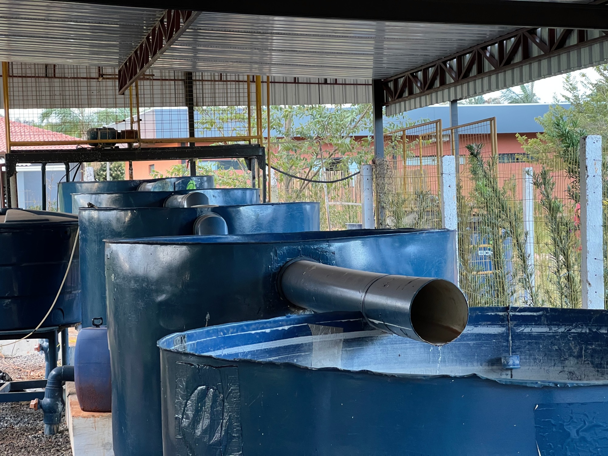 Sistema de esgoto sustentável Zagaia – Zagaia Eco Resort